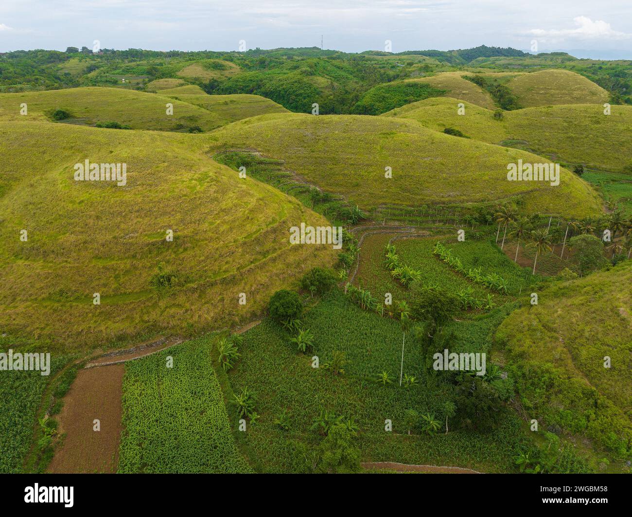 Teletubbies Hill in Nusa Penida, Bali Stock Photo - Alamy