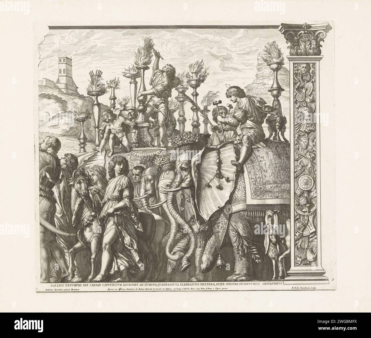Elephants in the triumph procession for Julius Caesar, Robert van ...