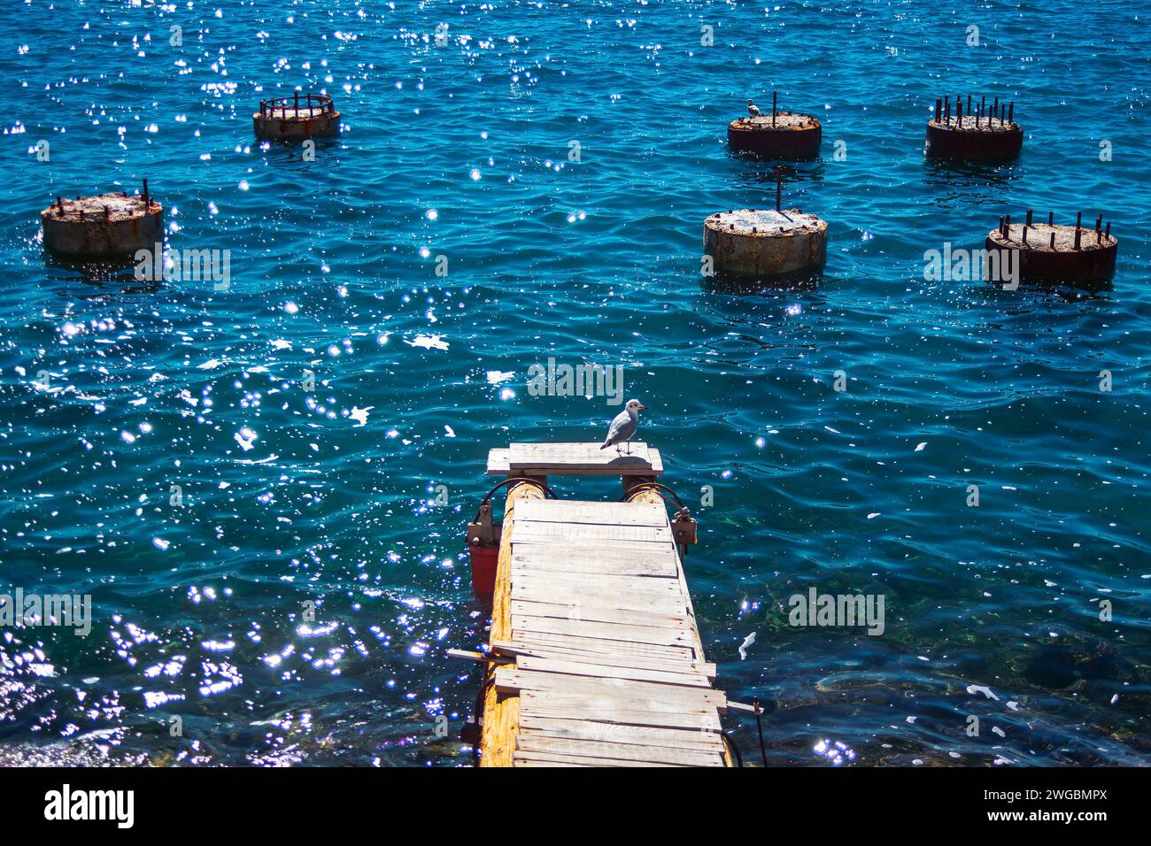 Columns of pier concrete columns pier by the hi-res stock photography ...