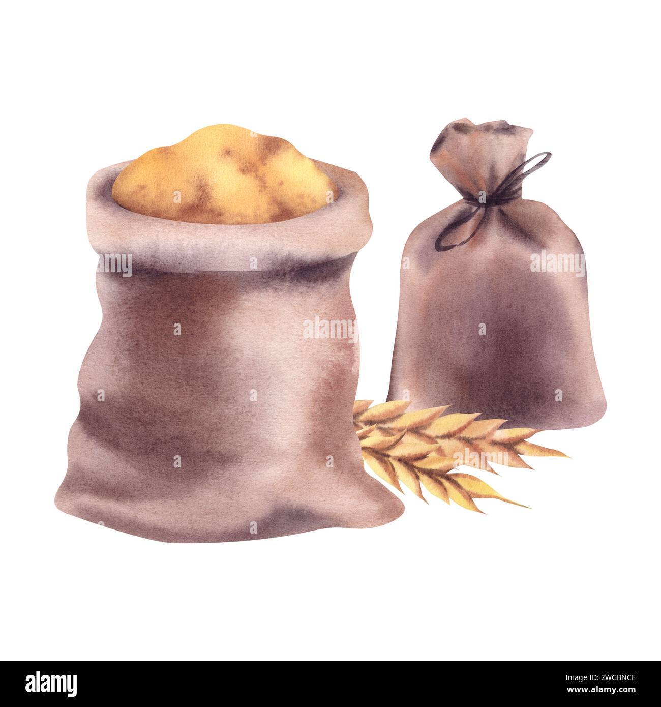 Millet logo hi-res stock photography and images - Alamy