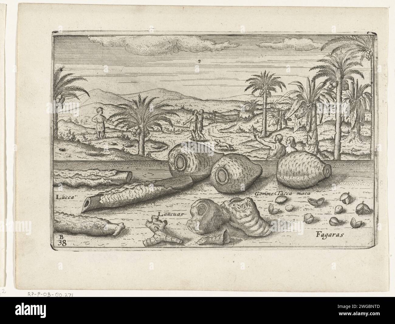 Herbs and tuber crops on Java, 1596, 1646 print Herbs and tuber crops ...