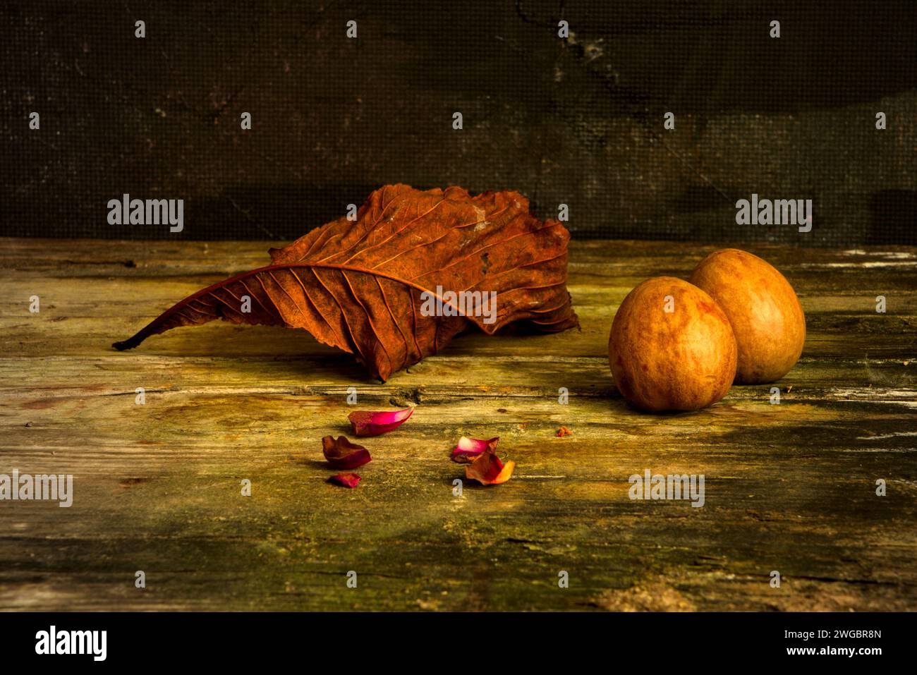 Fine art still life from Italy Stock Photo - Alamy