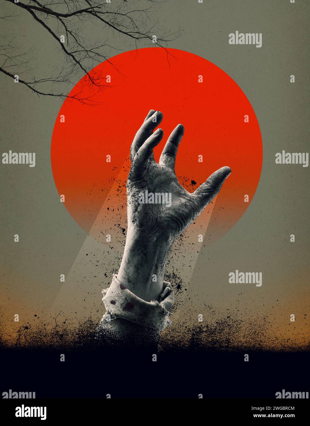 Zombie hand out of ground hi-res stock photography and images - Alamy