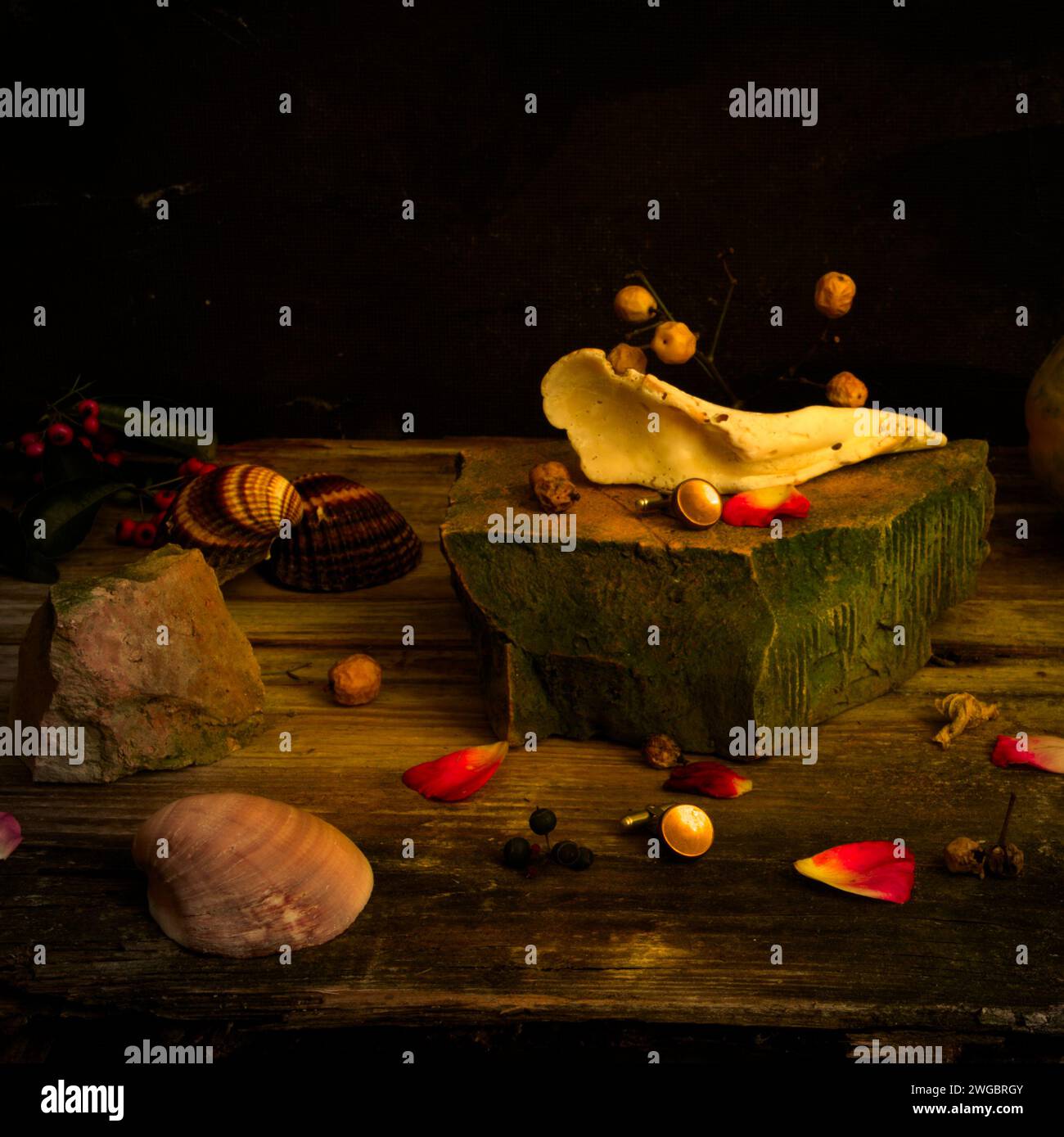 Fine art still life from Italy Stock Photo - Alamy