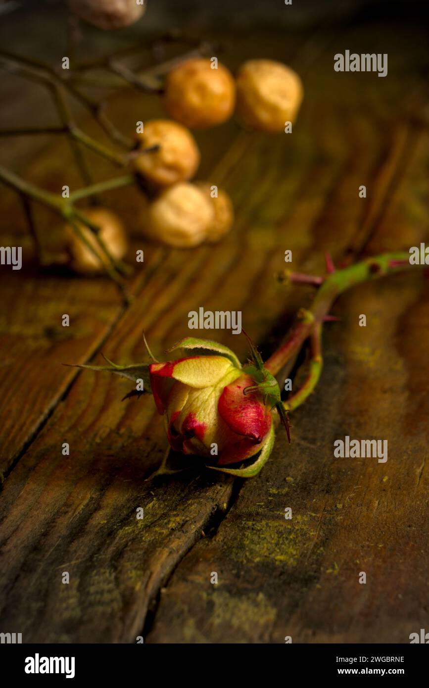 Medieval still life painting hi-res stock photography and images - Alamy