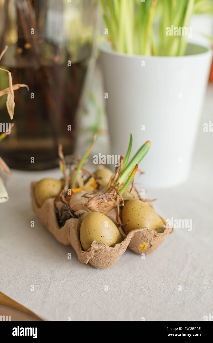 Close-up of painted Easter eggs in an egg carton next to assorted ...