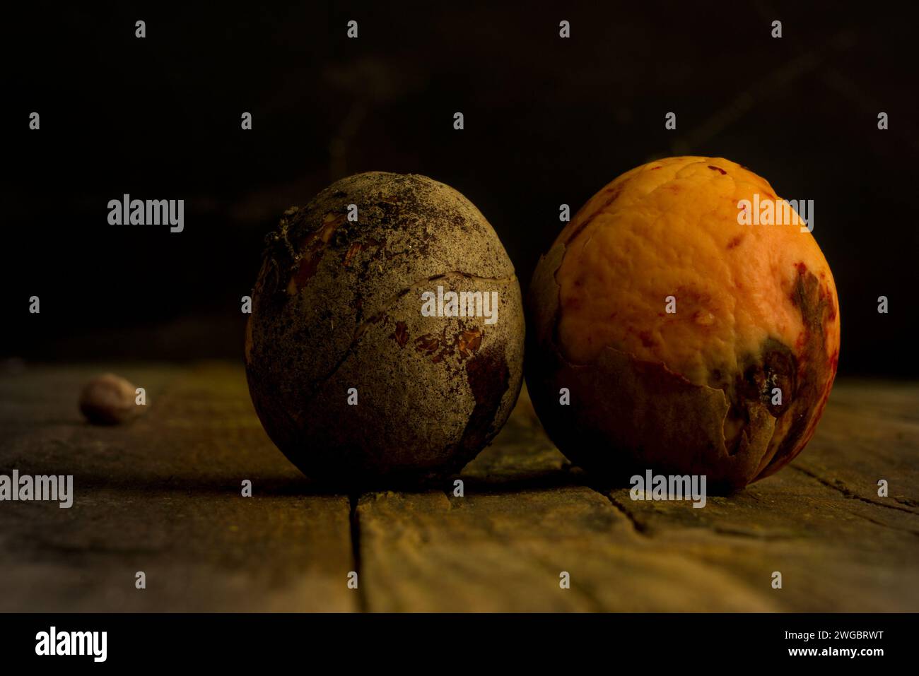 Medieval still life painting hi-res stock photography and images - Alamy