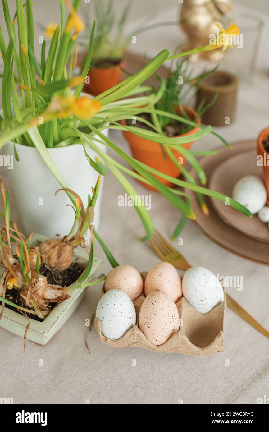 Close-up of painted Easter eggs in an egg carton next to assorted ...