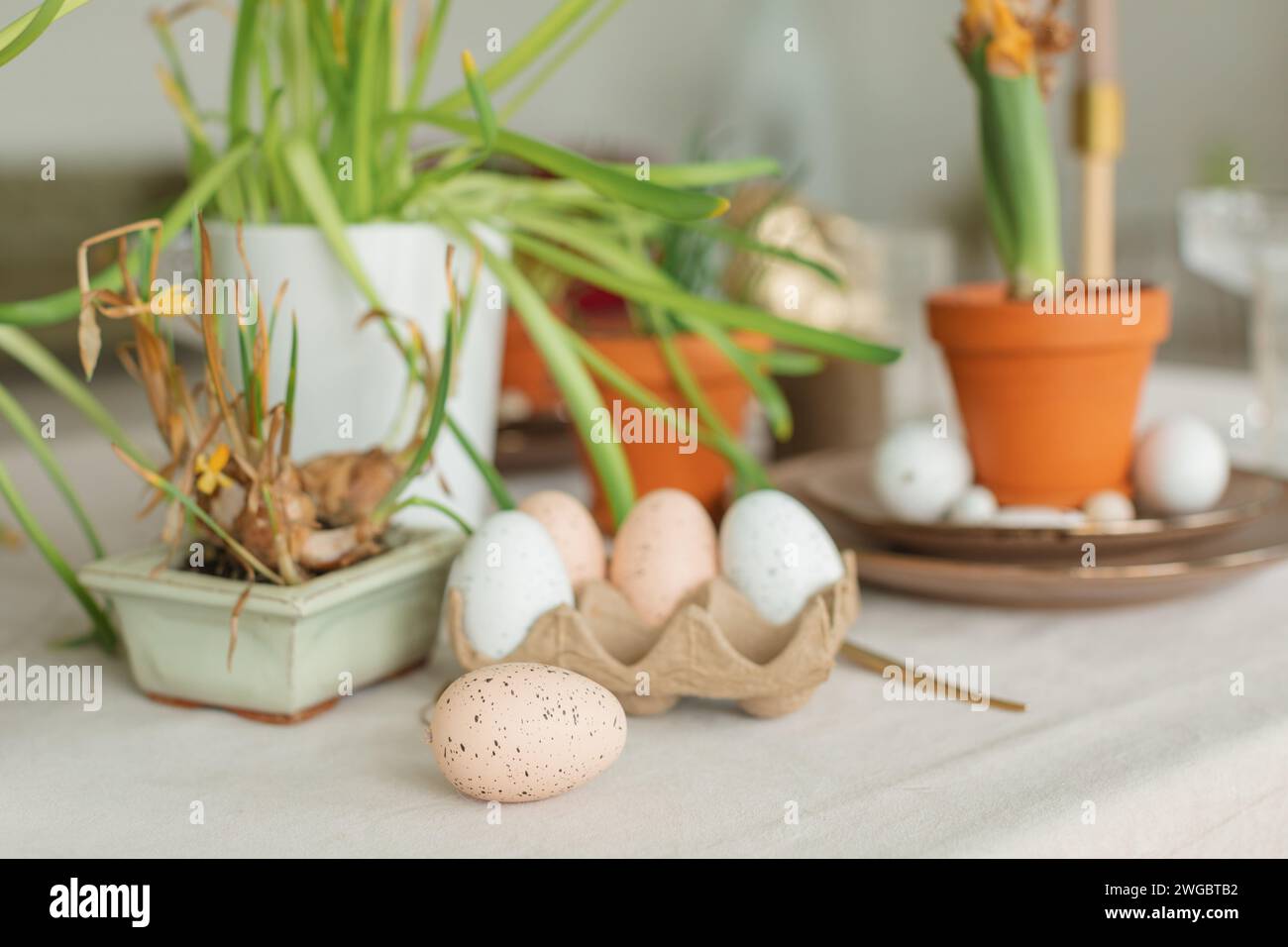 Close-up of painted Easter eggs in an egg carton next to assorted ...