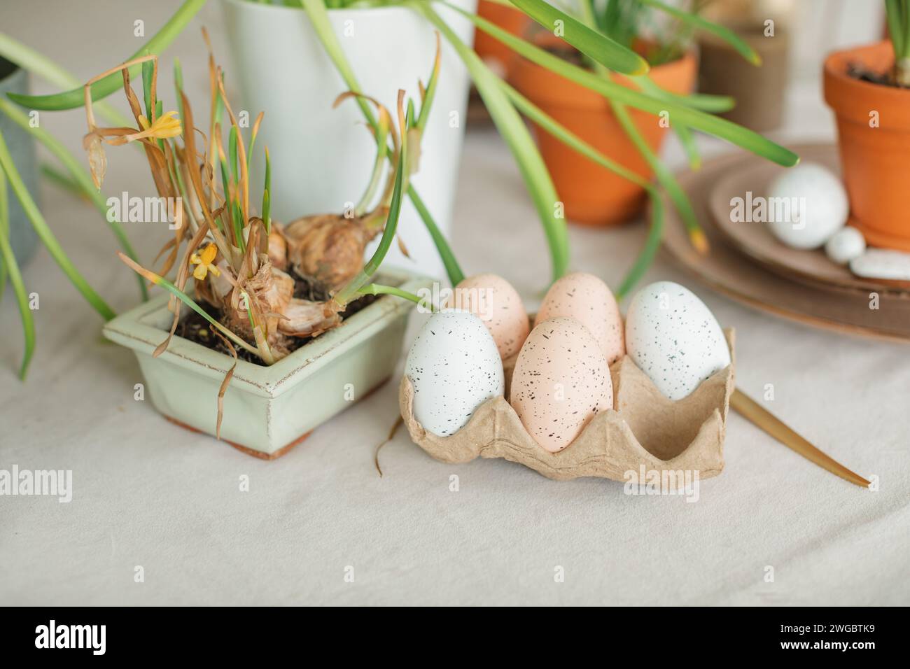 Close-up of painted Easter eggs in an egg carton next to assorted ...
