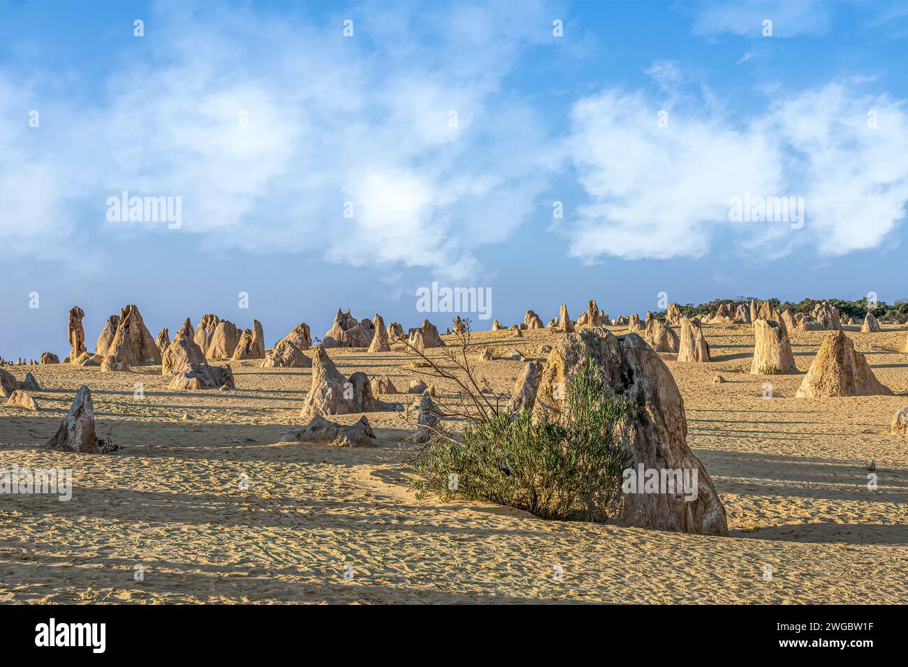 The Pinnacles limestone rock formations, Nambung National Park, Western ...