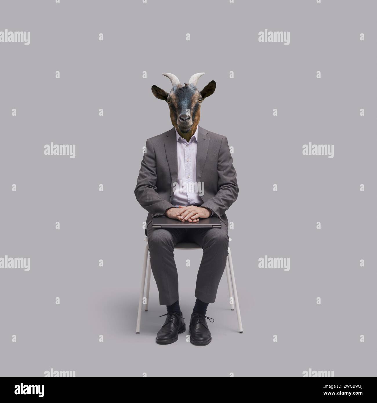 Funny employee with goat head sitting on a chair and looking at camera ...