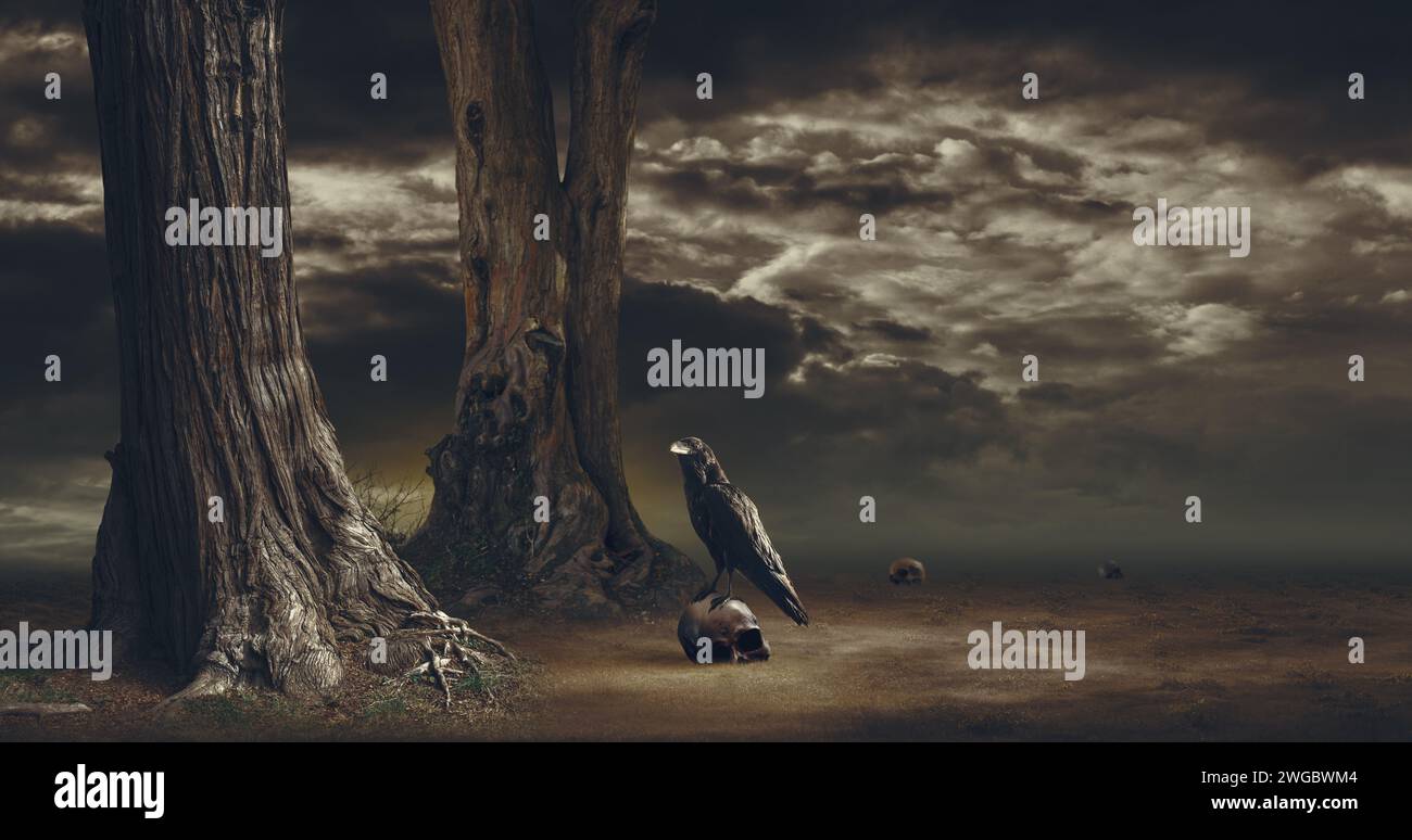 Scary crow on a human skull and trees: horror and Halloween background ...