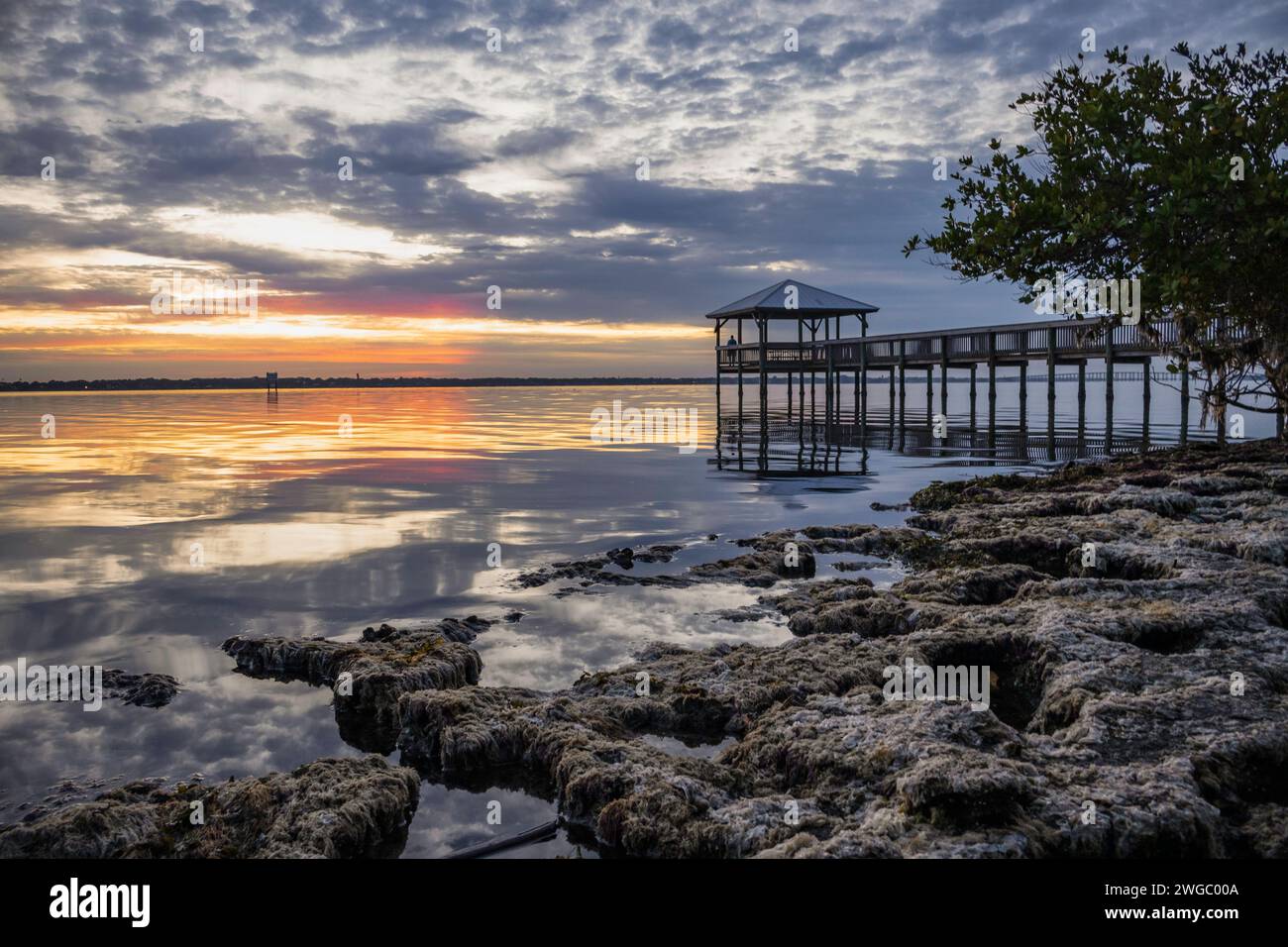 Indian river lagoon state park hi-res stock photography and images - Alamy