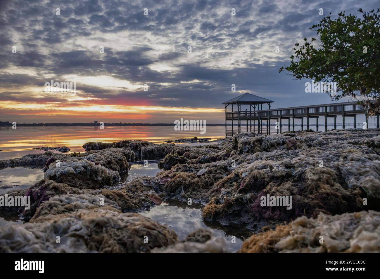 Indian river lagoon preserve state park hi-res stock photography and ...