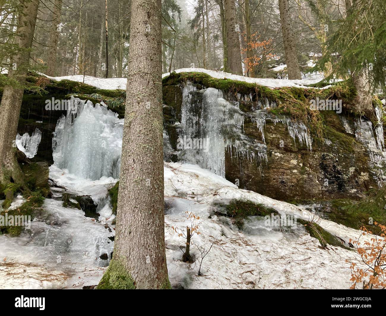 A scenic snowy forest with a glistening waterfall cascading amidst lush ...