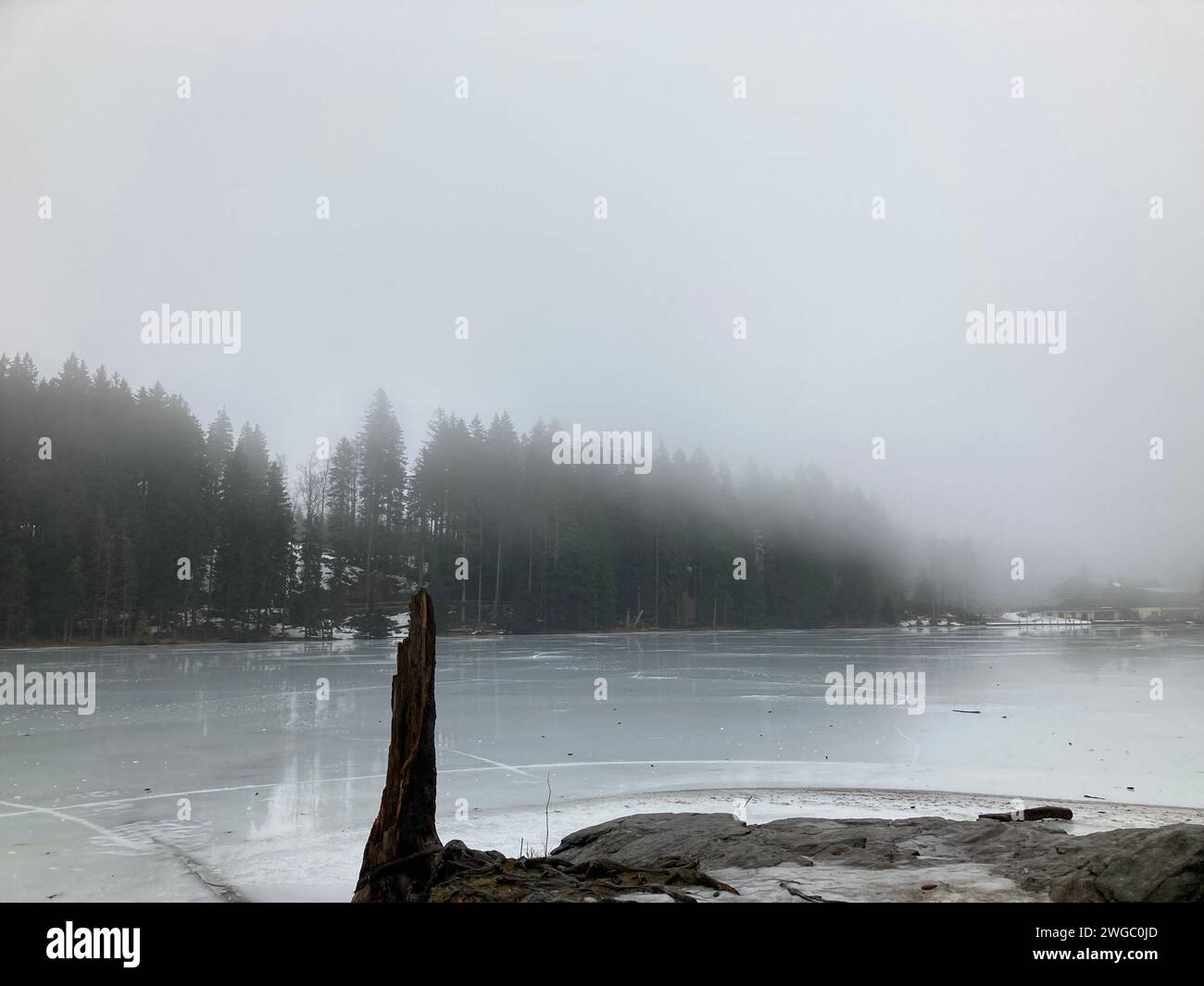 A winter scene showcasing a frozen lake with a tree stump surrounded by ...