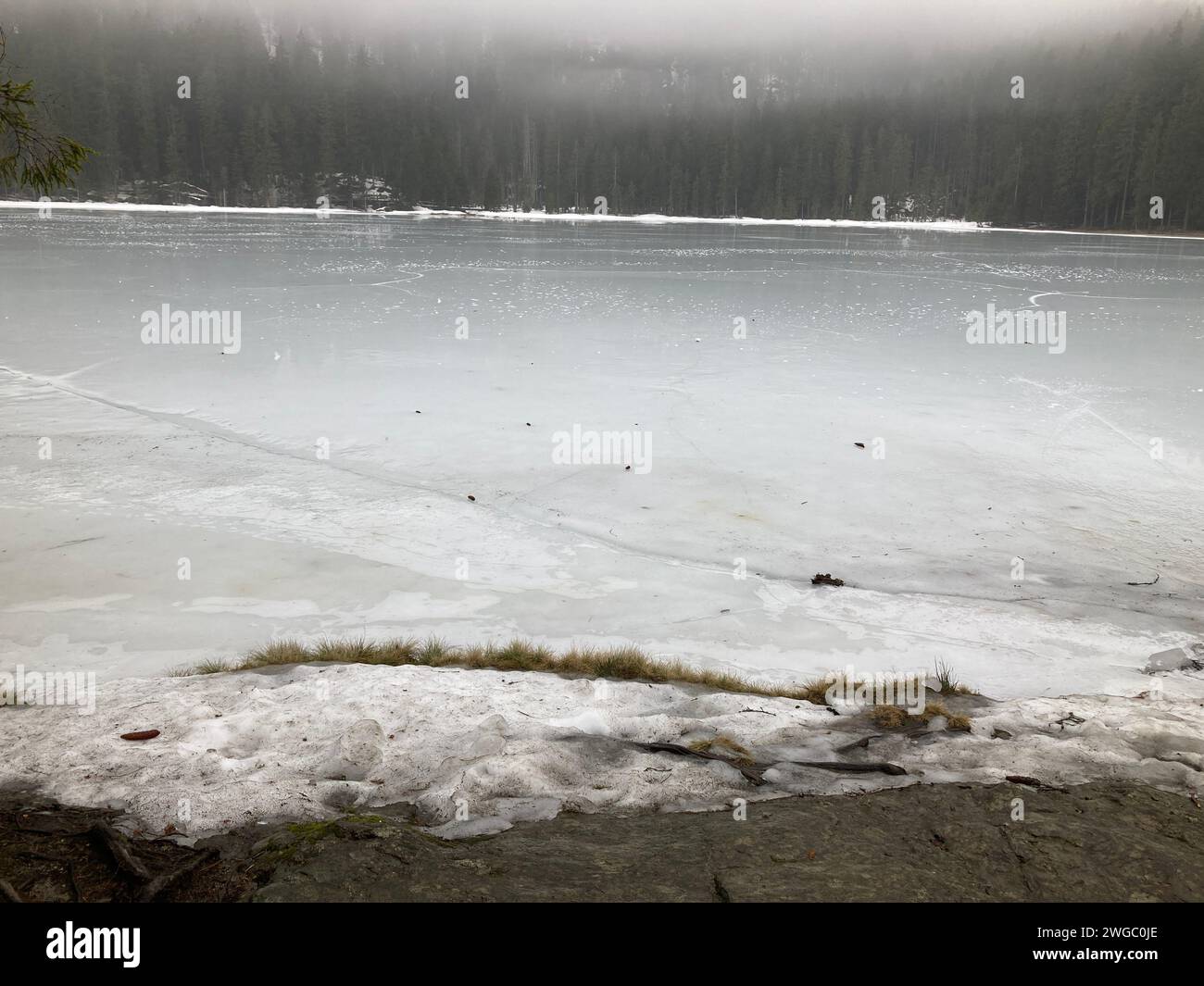 A melting ice on lake shore with snowy backdrop and trees Stock Photo ...