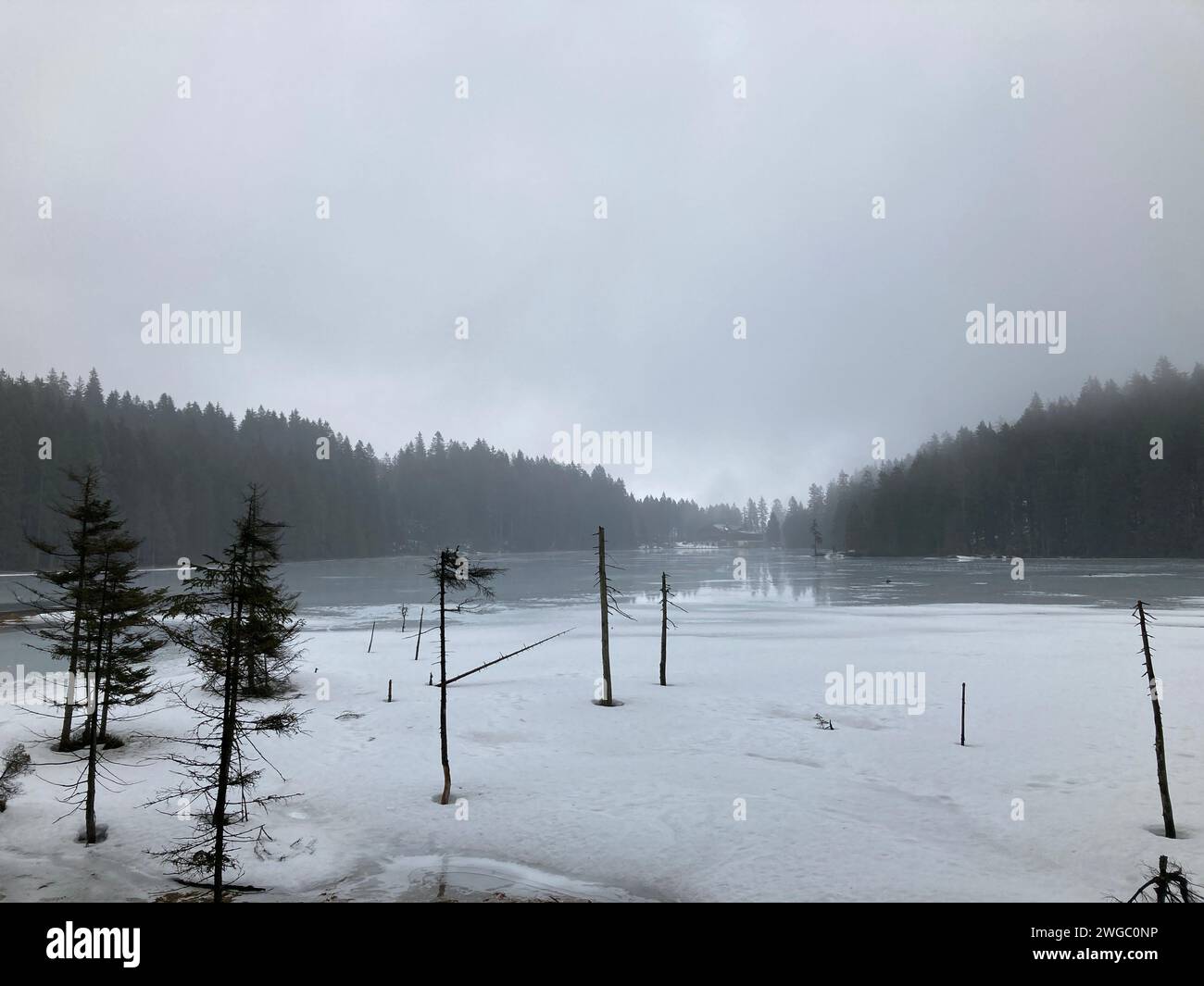 A frozen lake in a forest, blanketed in snow, encircled by trees Stock ...