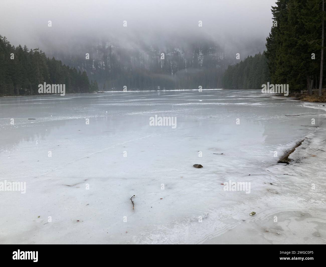 A frozen lake covered in ice with visible pine trees Stock Photo - Alamy