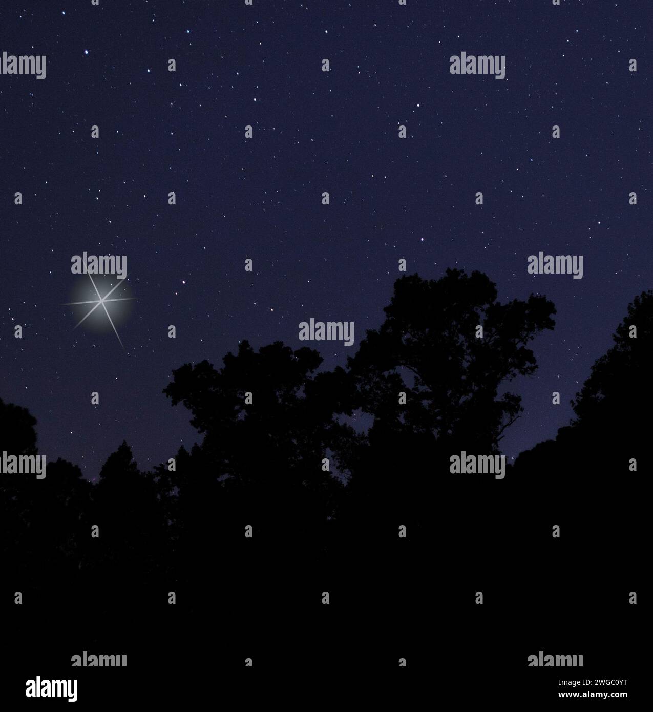 People star gazing hi-res stock photography and images - Alamy