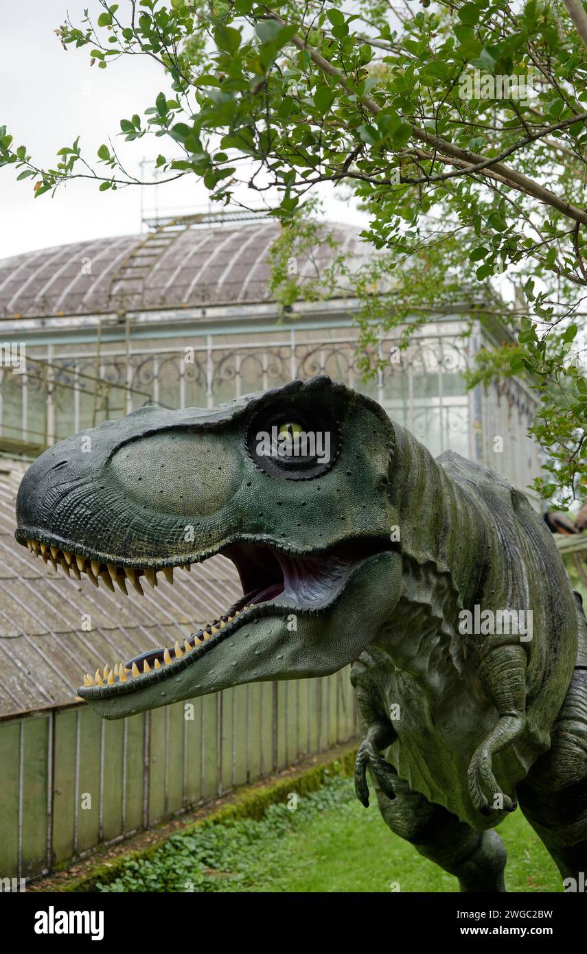 Dinosaurs in resin. Triceratops, Tyrannosaure, T-rex Stock Photo - Alamy