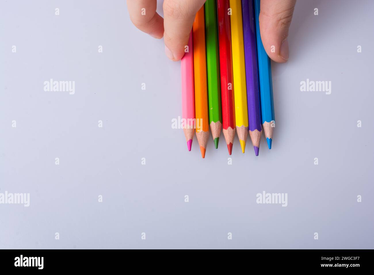 Hand holding color Pencils placed on a white background Stock Photo - Alamy