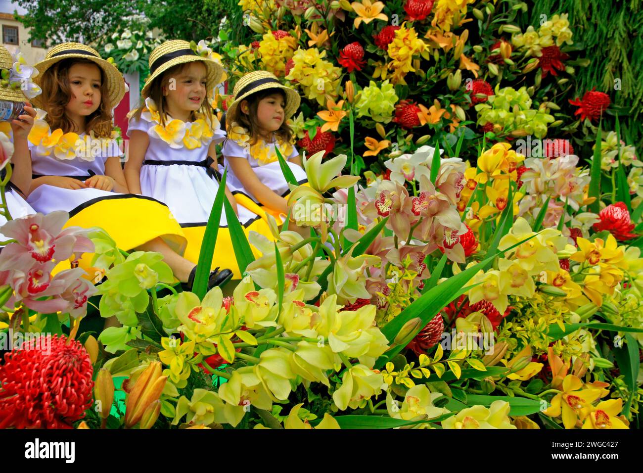 Flower float, flower decoration, children, orchids, flower festival ...
