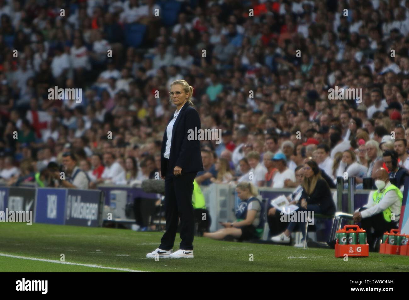 Lionessees manager hi-res stock photography and images - Alamy