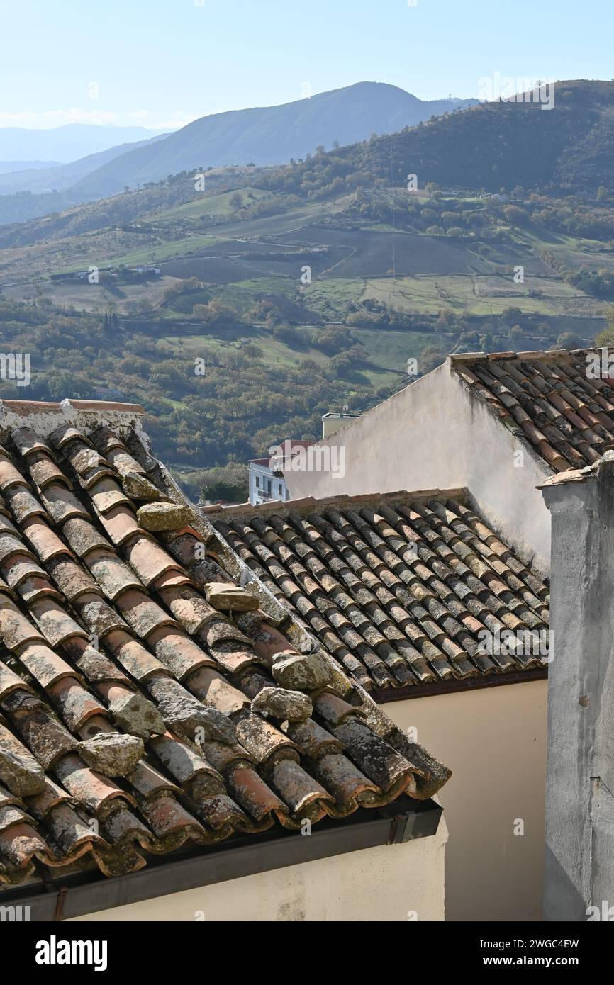 Traditional tiles pitch roofs in the small town of Rotondella in ...