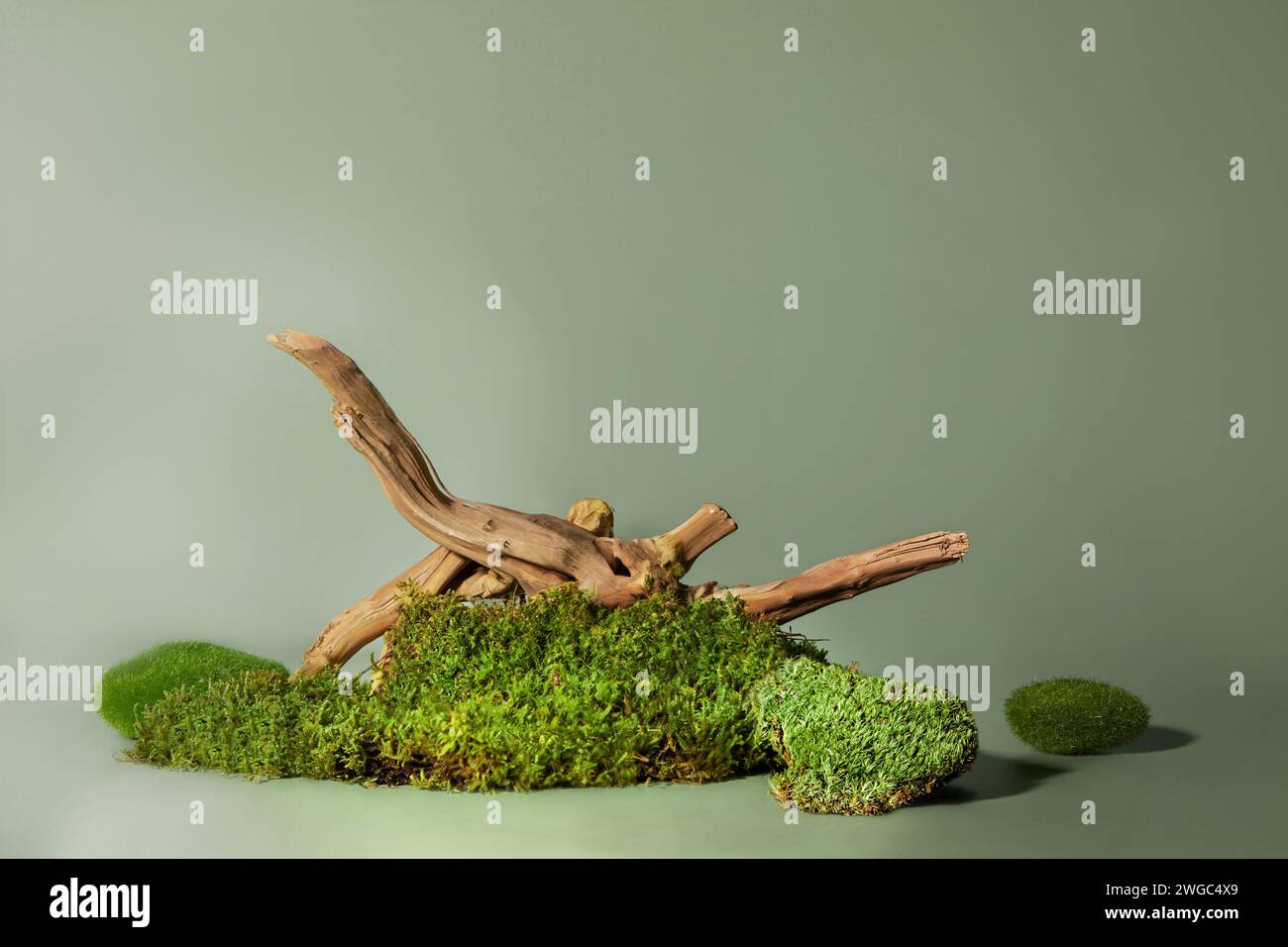 Product display backgrounds, product photography backdrop, product ...