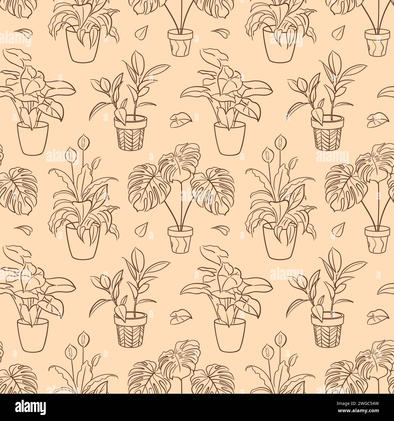 Ficus, Syngonium, Monstera, Spathiphyllum. seamless pattern. Exotic ...