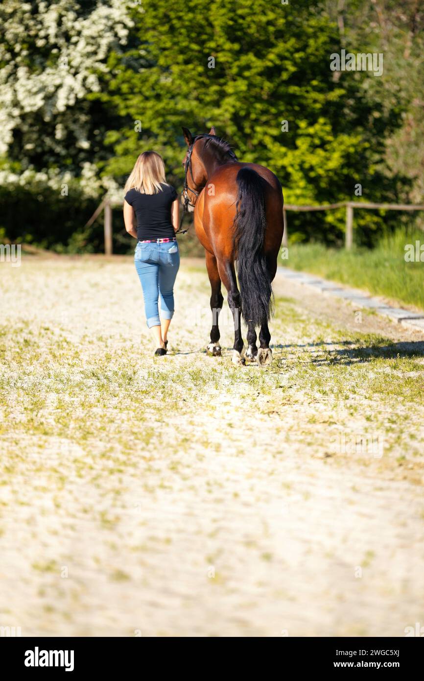 A young woman stands with her horse on a sunlit riding arena. In the background, blooming trees ...