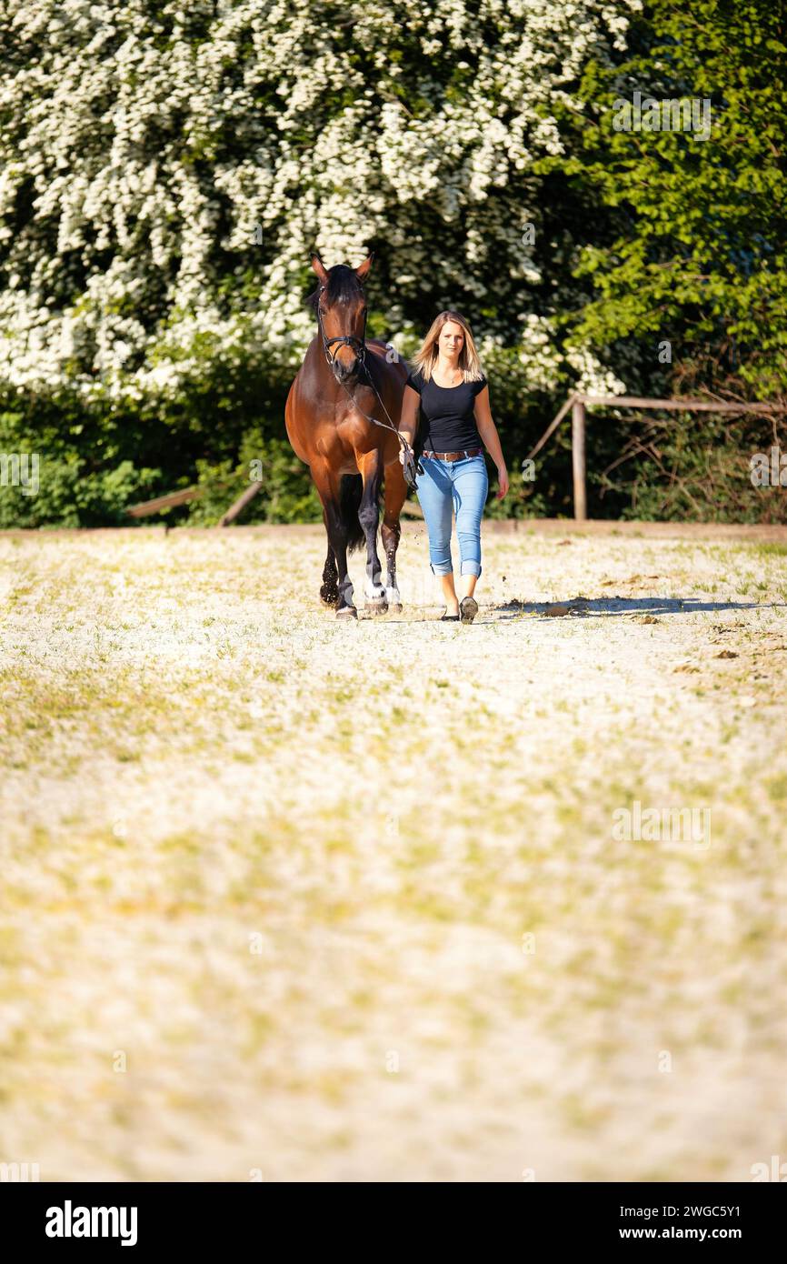 A young woman stands with her horse on a sunlit riding arena. In the background, blooming trees ...