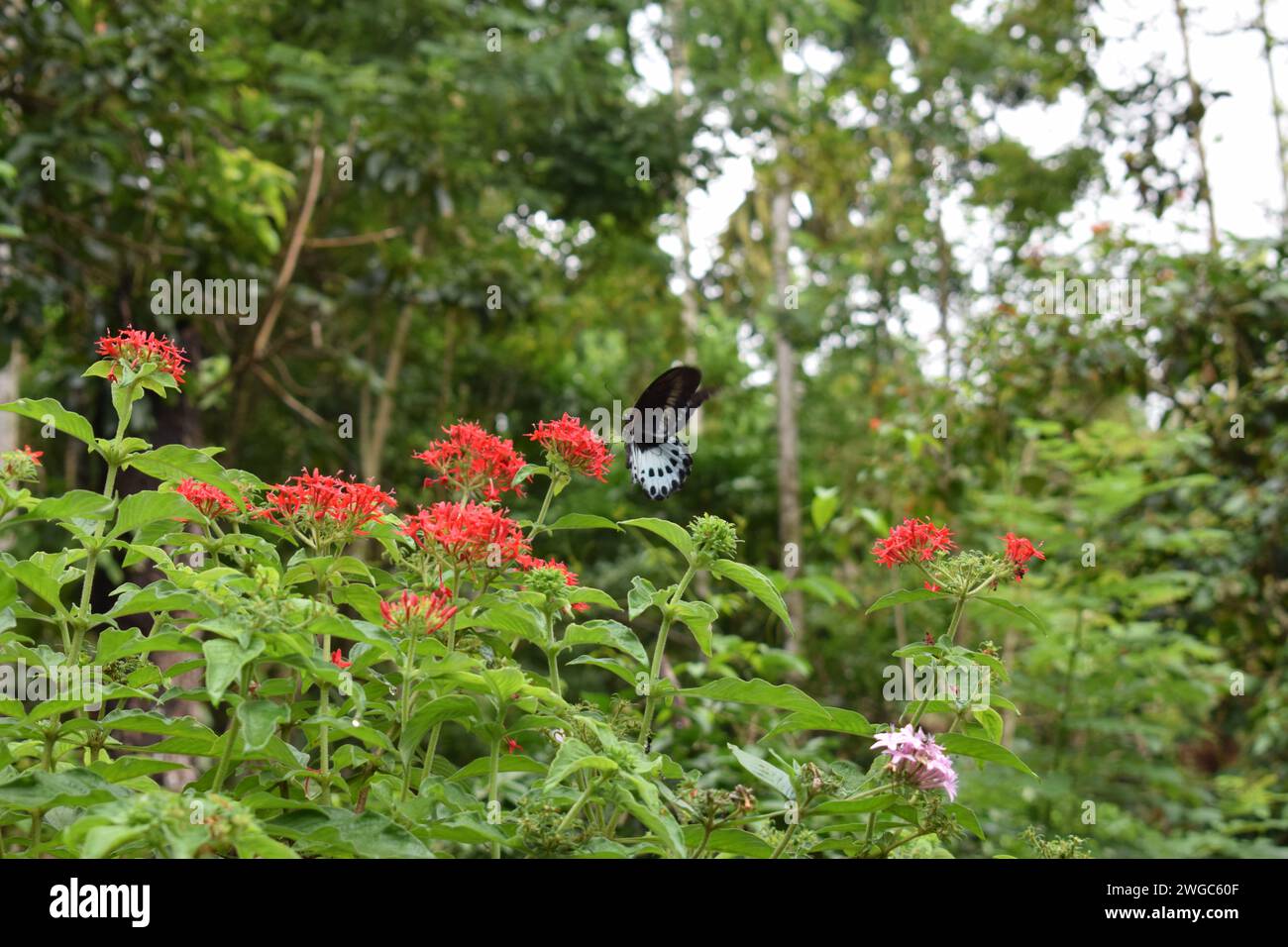 Sri Lanka is blessed with breathtaking natural beauty The beauty of ...