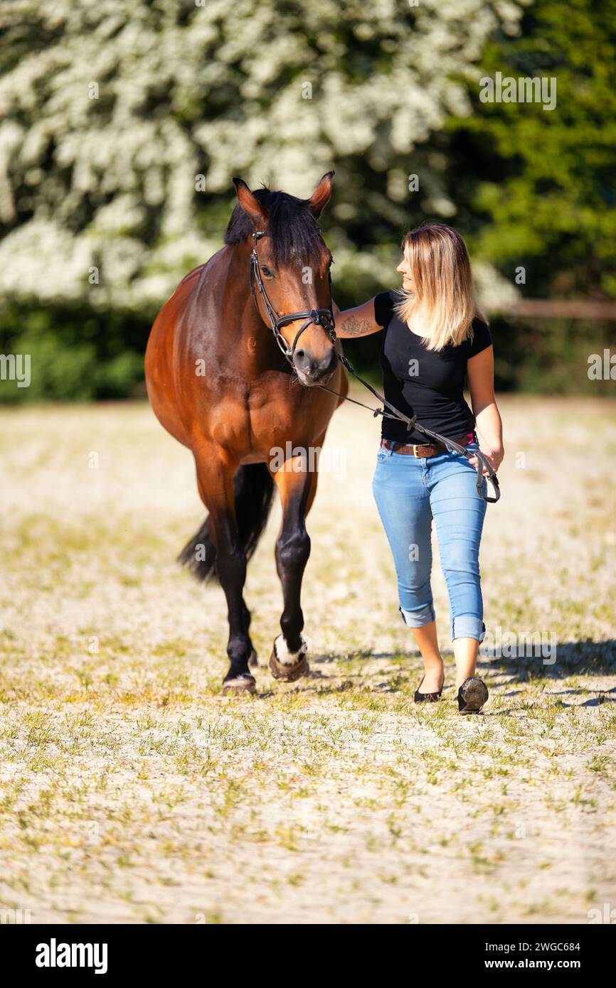 A young woman stands with her horse on a sunlit riding arena. In the background, blooming trees ...