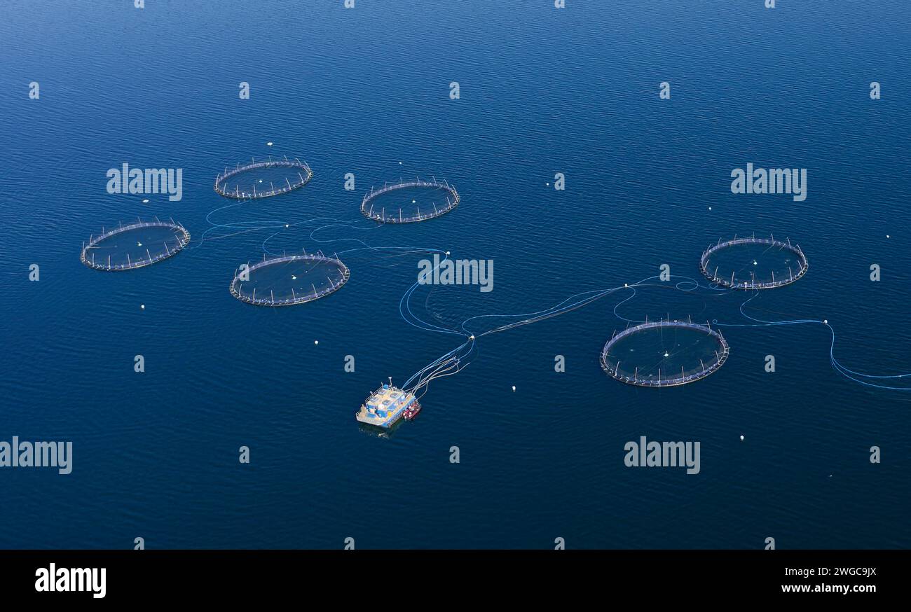 Fish farm salmon round nets in natural environment Loch Fyne Arygll and ...