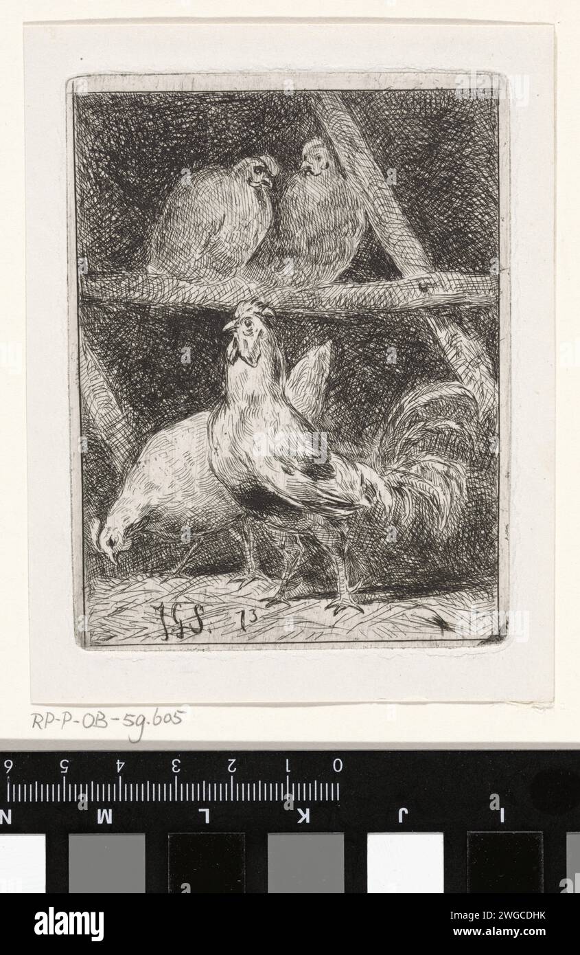 Three chickens and a rooster, Jan Gerard Smits, 1873 print Three ...