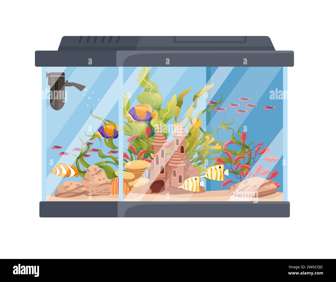 Rectangular glass aquarium with fishes grass stones and decorative ...