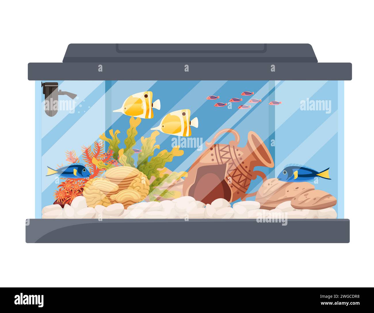 Rectangular glass aquarium with fishes grass stones and decorative ...