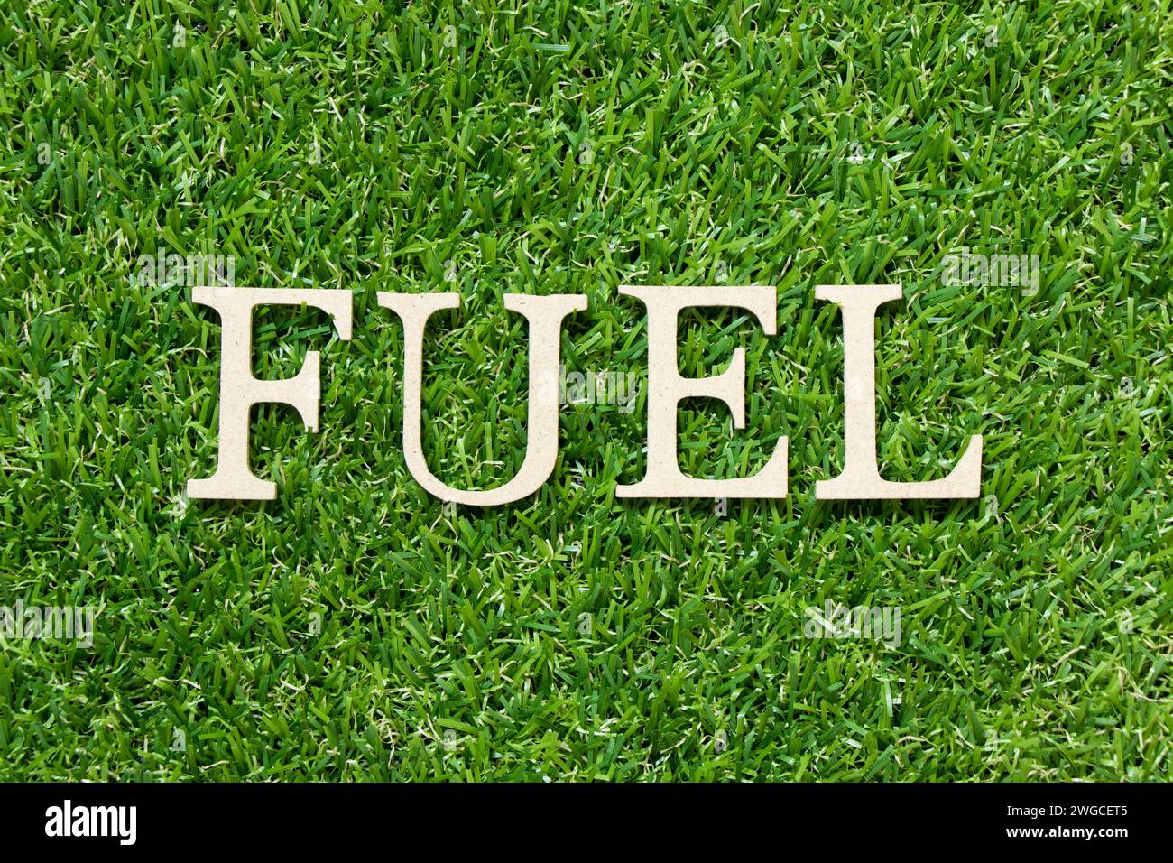 Wood letter in word fuel on green grass background Stock Photo - Alamy