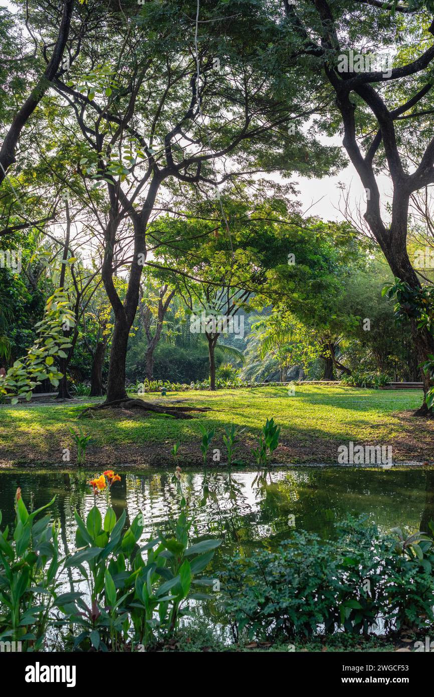 Suan Luang Rama IX, (Rama IX Park), public park in Prawet District ...