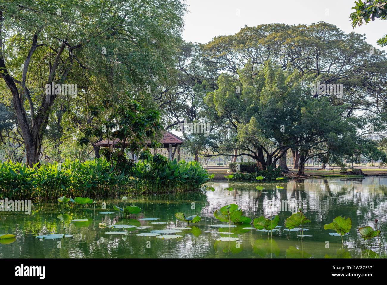 Suan Luang Rama IX, (Rama IX Park), public park in Prawet District ...