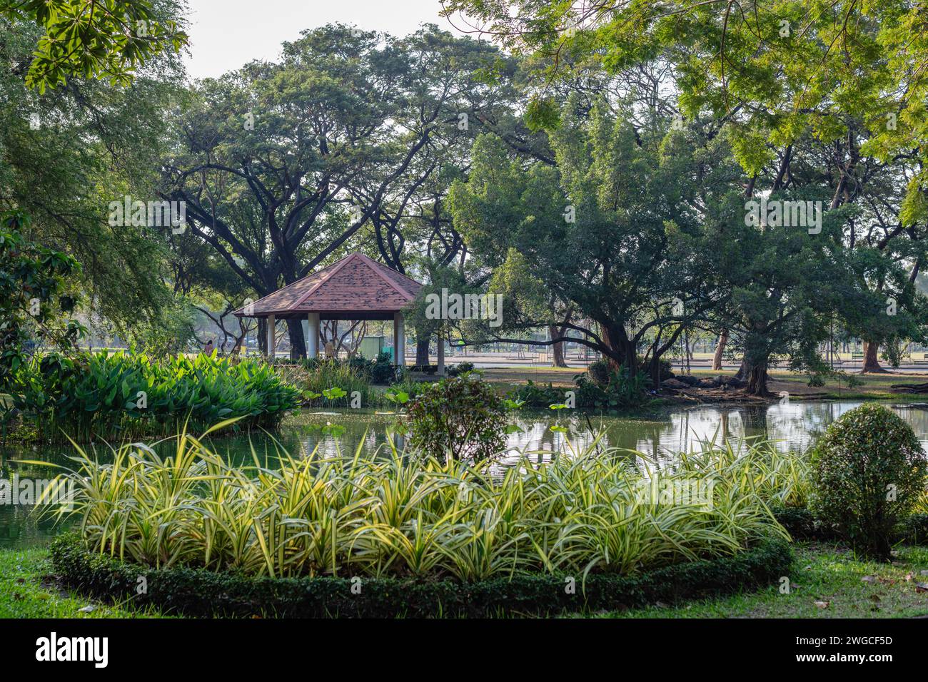 Suan Luang Rama IX, (Rama IX Park), public park in Prawet District ...