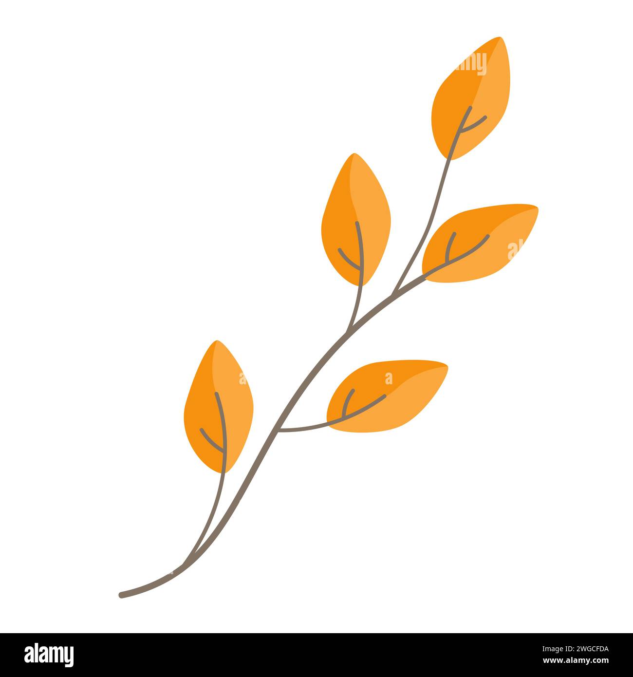 Autumn branch with leaves. Fall season, tree branches, forest flora ...
