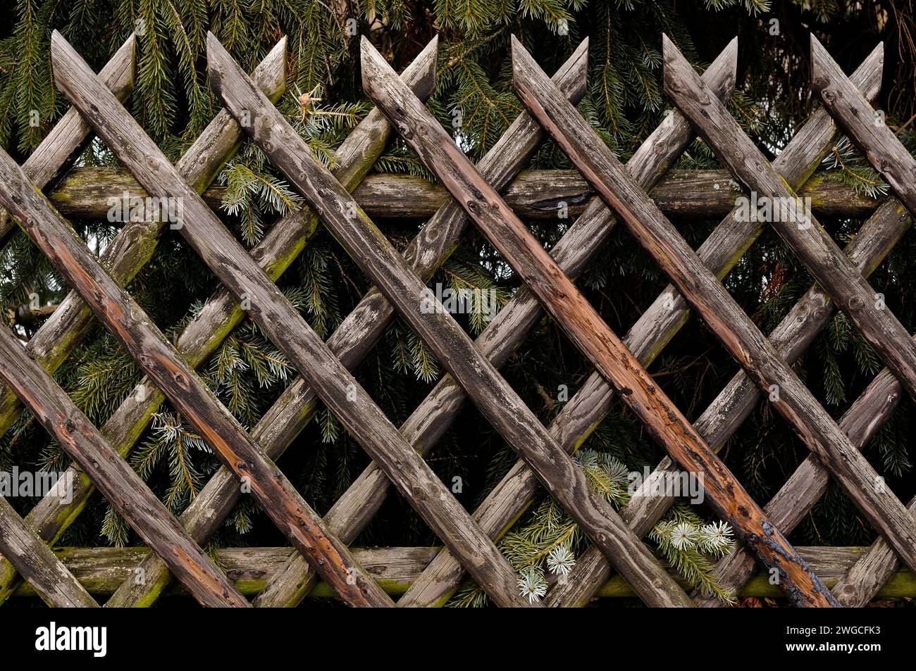 Scissor grid hi-res stock photography and images - Alamy