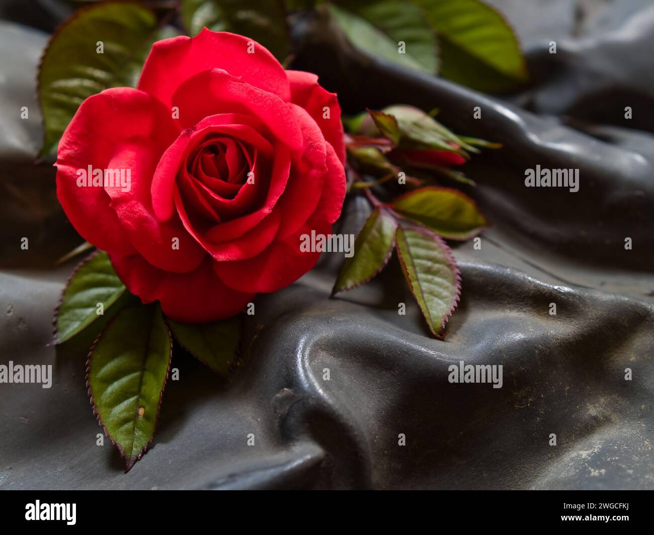 Lead metal sheet hi-res stock photography and images - Alamy