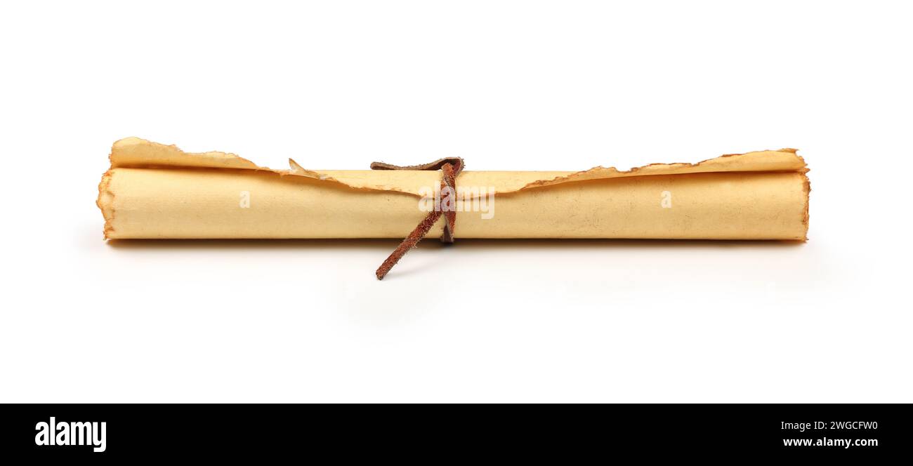 Close up one rolled blank old antique vintage brown paper parchment ...