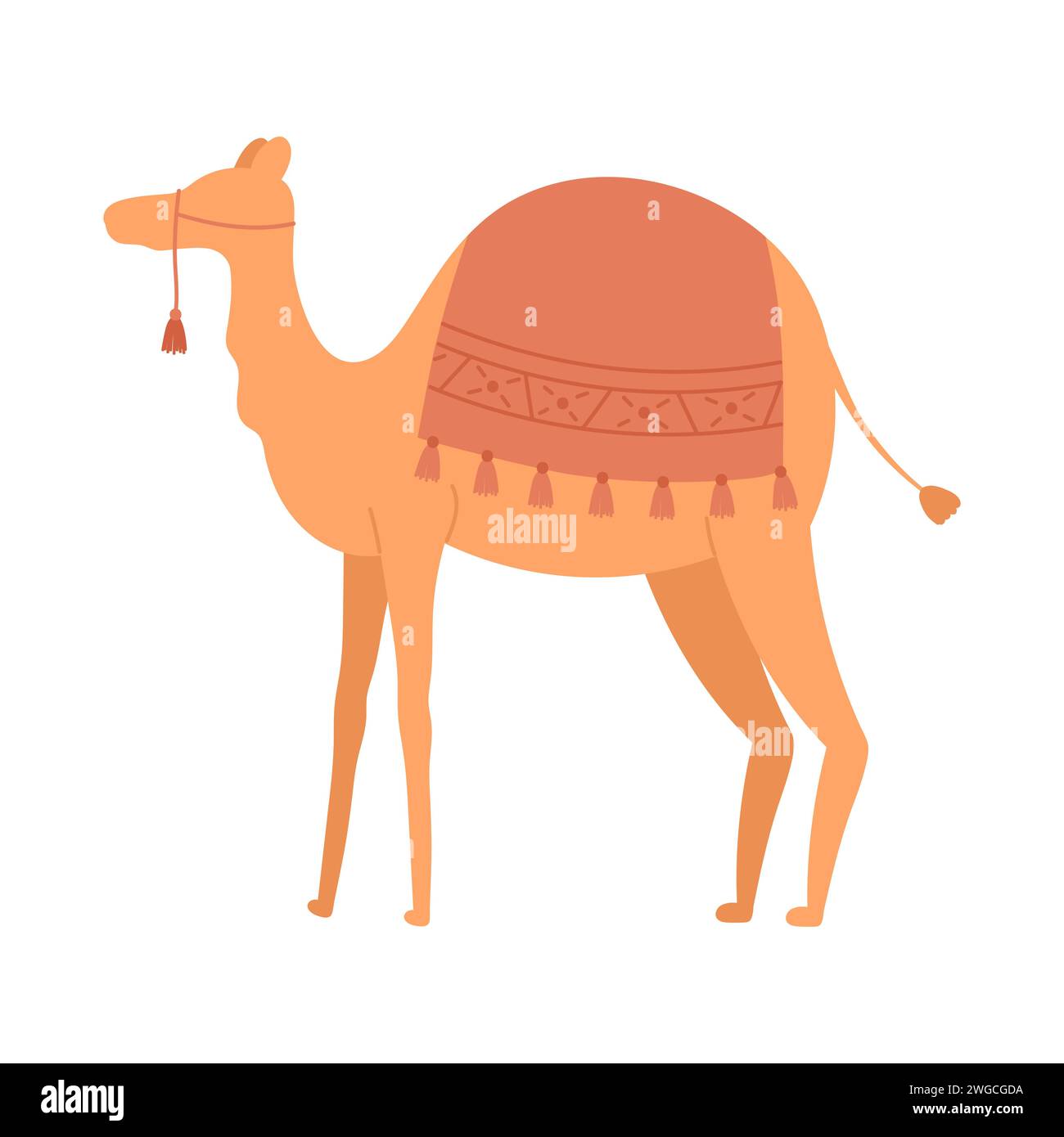 Moroccan camel animal. Camel ride in desert, one hump camel cartoon ...