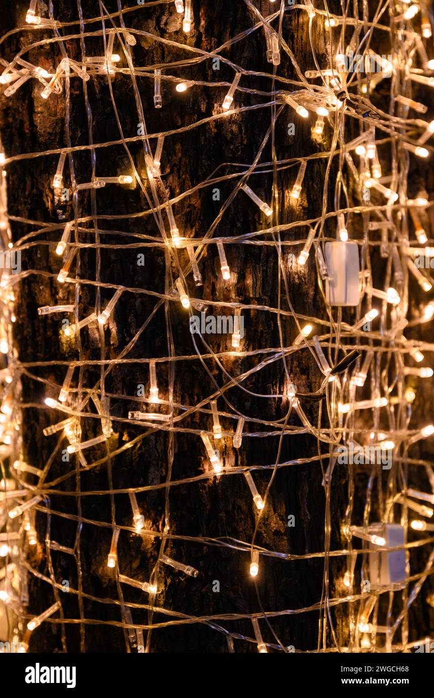Beautiful holiday illumination tree trunk hi-res stock photography and ...